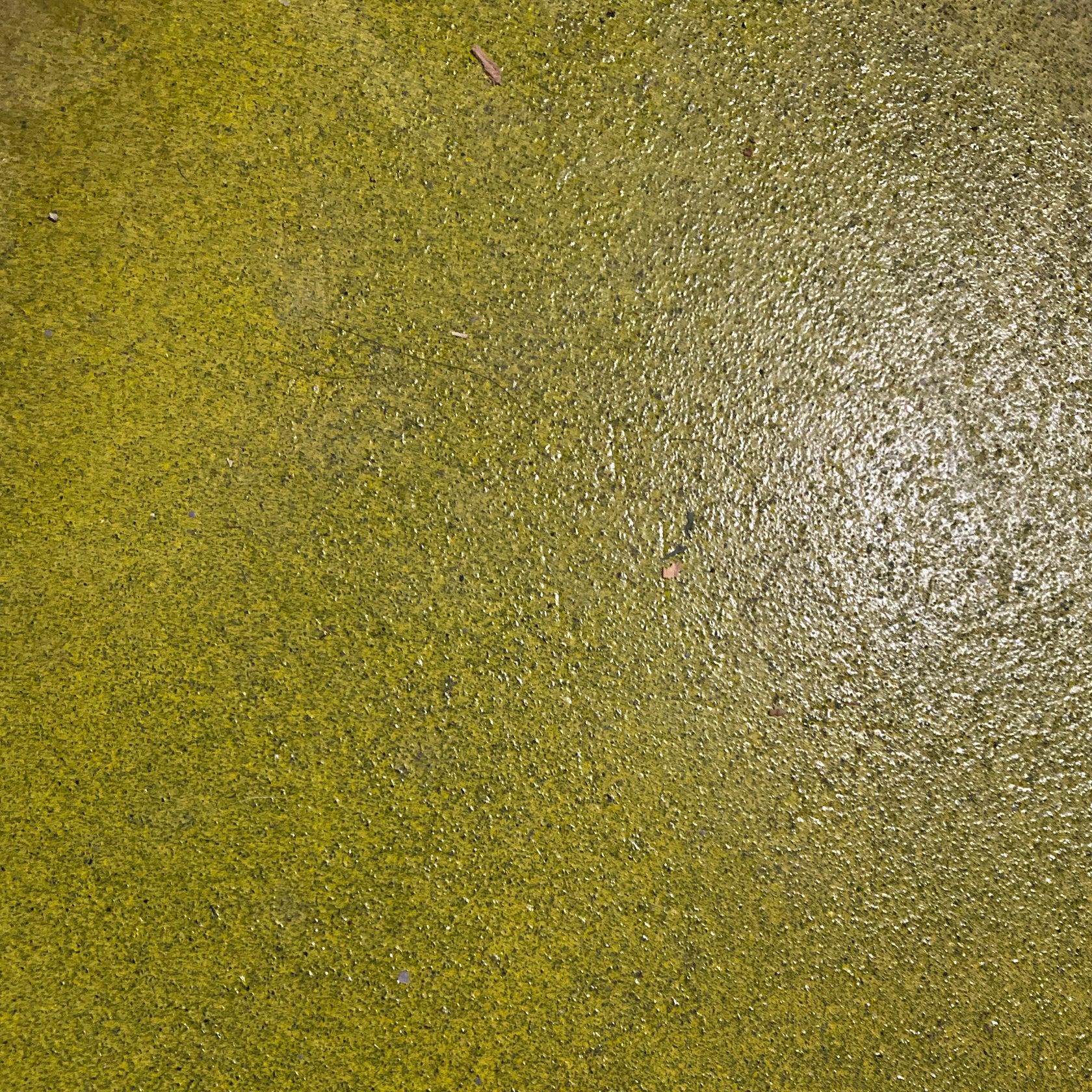 Liquid Rubber Coating Solution | Rubberize It! – Rubberizeit